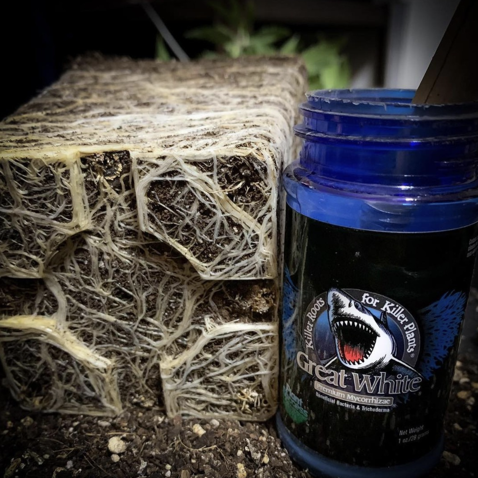 Great White Premium Mycorrhizae® – Product breakdown
